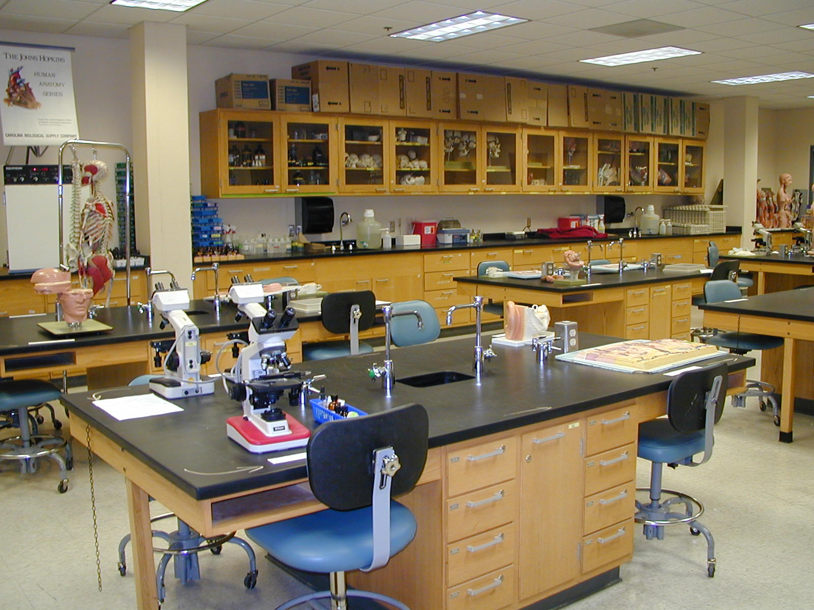 faculty.collin.edu - /mweis/A&P Basics/Lab/Basics Lab Practicals/Basics Lab Practical Room Photos/